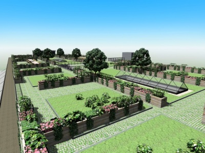 Europa’s grootste moestuin op dak in Amsterdam