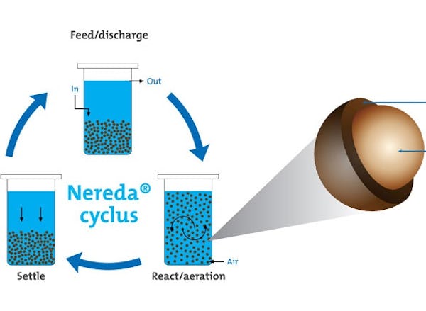 Waterschappers dragen internationaal Nereda uit