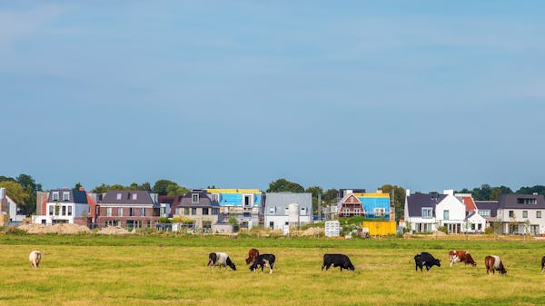 Opinie | Nederland is vol. Ja, met koeien en varkens